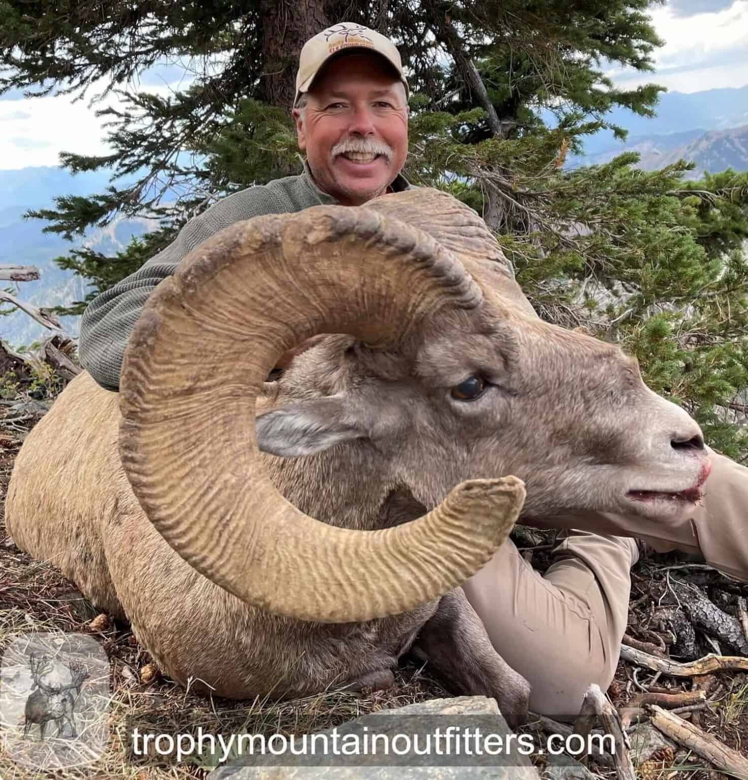 Bighorn Sheep Hunting