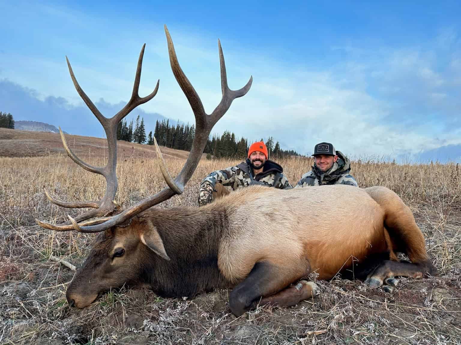 Wyoming Elk Hunting